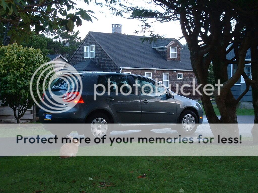 VW Rabbit COLOR: Sage Green | Volkswagen Owners Club Forum