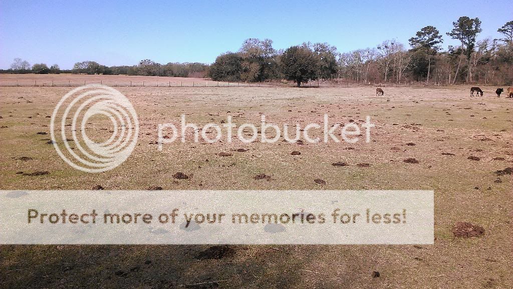 homemade pasture drag tutorial - CattleToday.com
