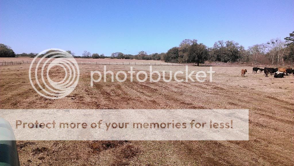 homemade pasture drag tutorial - CattleToday.com